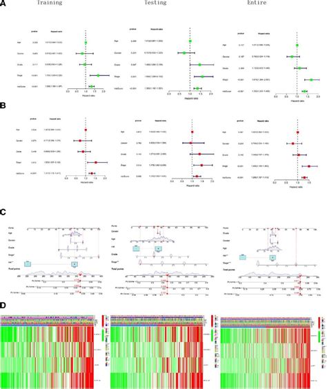 Independent Prognostic Value Of The Ferroptosis Related Lncrnas