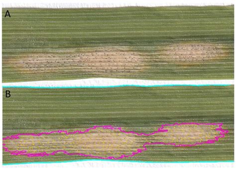 Agronomy Special Issue Utilizing Genetic Resources For Agronomic