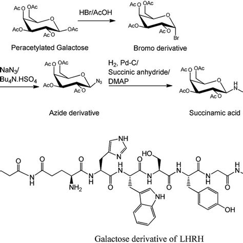 Enzymatic Glycosylation Of Lactose Derivative Of Lipo Enkephalin