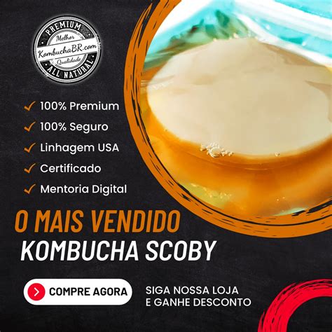 Kombucha Scoby Premium