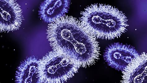 Belgium Responds Quickly To Mpox Outbreak In Africa Fps Foreign