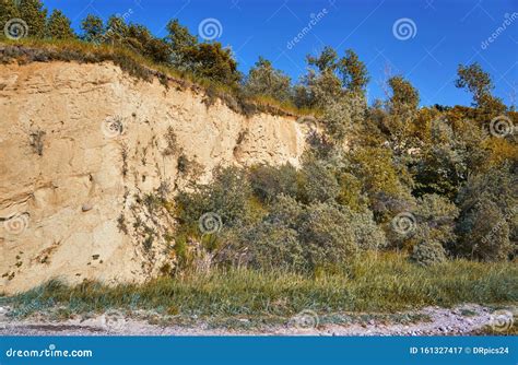 View Of Baltic Sea Cliff With Trees Stock Image Image Of Scenery