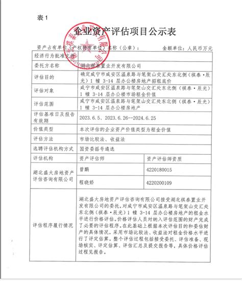 企业资产评估项目公示表 咸宁城市发展（集团）有限责任公司