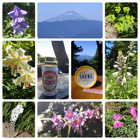 高尾山165 週末の旅心