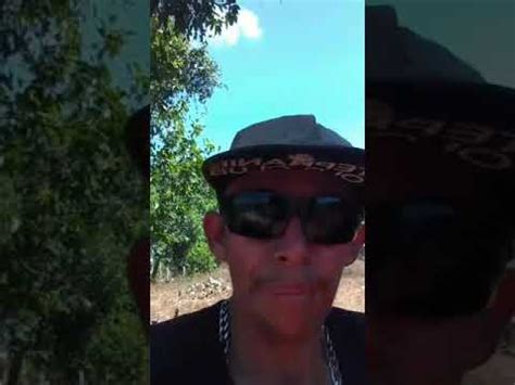El Culebrero Tocando Unos Temas Youtube