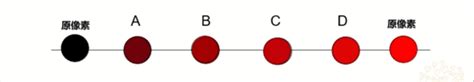 数字图像处理——图像内插 Csdn博客