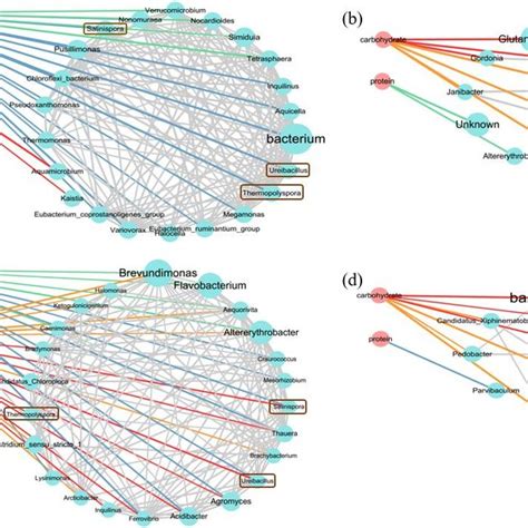 Network Analysis Of Nutrient Substrates And Related Bacteria Node Sizes Download Scientific