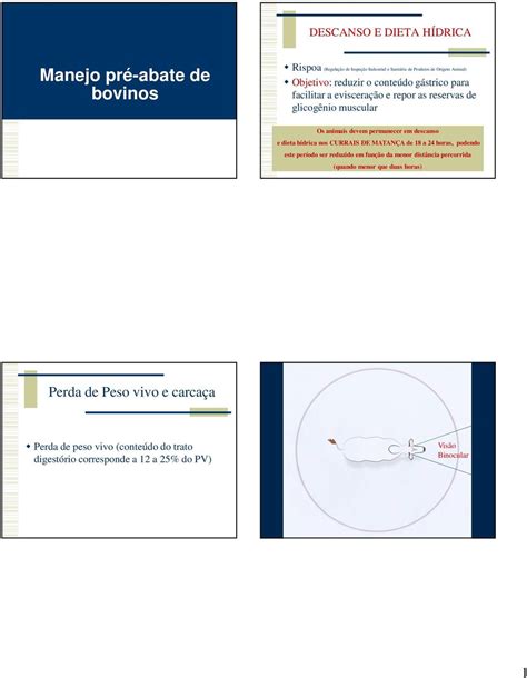 Manejo Pré Abate De Bovinos Pdf Free Download