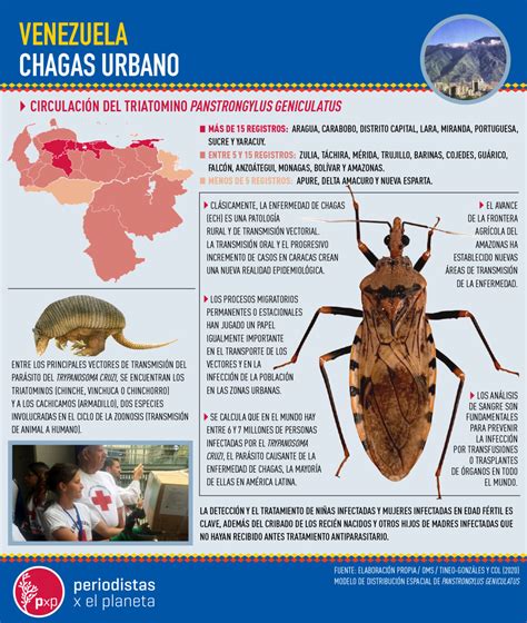 El Chagas Ahora Es Una Enfermedad Urbana En Venezuela Cambio