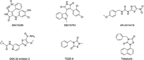Atp Or Non Atp Competitive Inhibitor Of Gsk3β Download Scientific