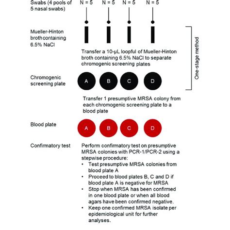 General Characteristics Of The Stratified Sampling Approach Download Scientific Diagram