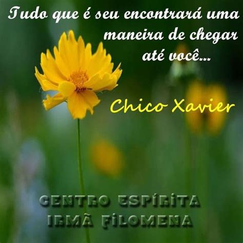 Tudo que é seu encontrará uma maneira de chegar até você Chico Xavier