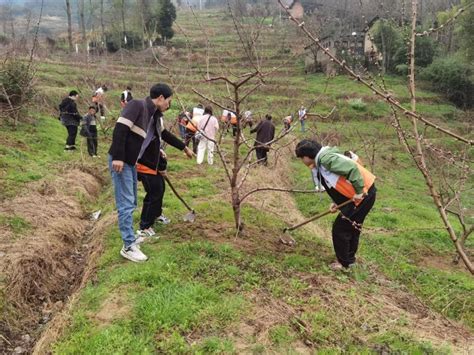 我校与恒合乡恒心村共建劳动教育实践基地 重庆三峡学院