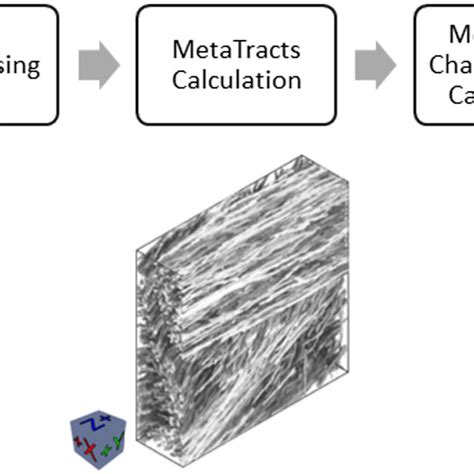 Fiber Bundle Extraction Workflow Raw Example Dataset Calculated Download Scientific Diagram