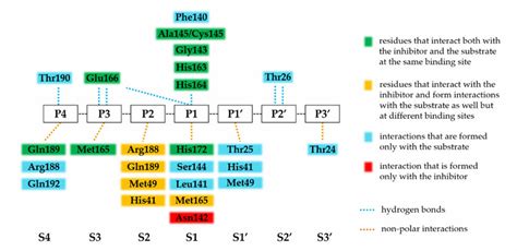 Comparison Of Substrate And Nirmatrelvir Binding Interactions Of Download Scientific Diagram