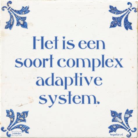 Het Is Een Soort Complex Adaptive System Online Tegeltjes Bakken Wbvb Rotterdam
