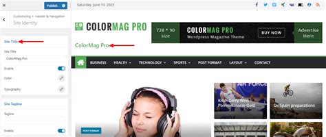 Customize The Site Logo Site Icon Site Title And Tagline Colormag Documentation
