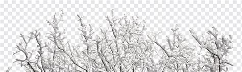 Branches Tree Snow Winter Frost Bush Shrub Nature Landscape