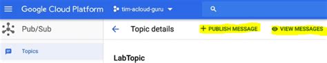 Lab Google S Cloud Pub Sub Publish Messsage Algae Education Services