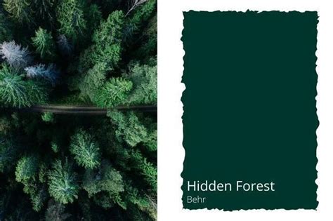Hunter Green Vs Forest Green What Is The Difference Mod And Mood In