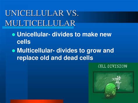 Cells Module B Lesson Ppt Download