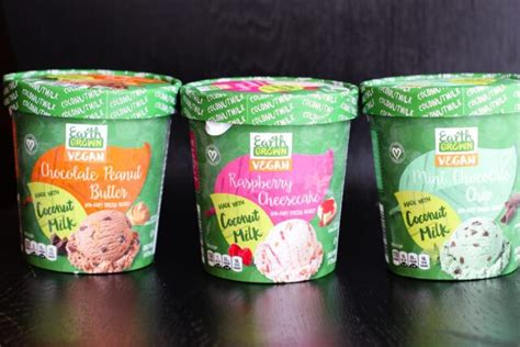 The 15 Best Dairy Free Ice Cream Pints To Scoop Up Vegan Too