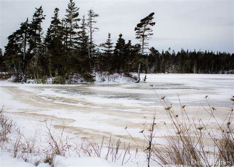 12 Snow Photography Tips How To Capture Magical Snow Shots
