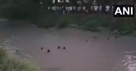 Haryana 4 Dead During Ganesh Idol Immersions In Mahendragarh Rescue