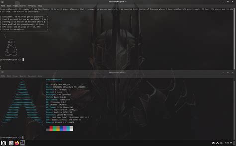 Cinnamon Hello World R Unixporn