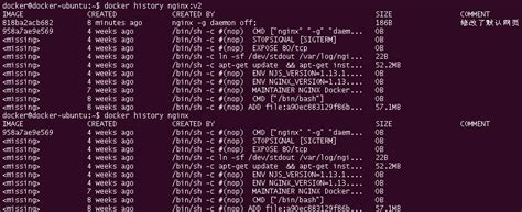 Docker Commit 笔记docker怎么查看commit信息 Csdn博客