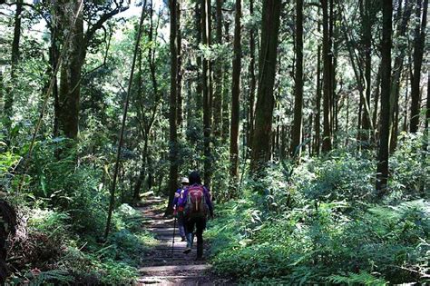 嘉義頂石棹上霹靂山大凍山下頂湖O走 健行筆記