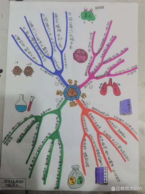 灰尘的旅行思维导图小学语文 简单又好看 图片 网专笔记