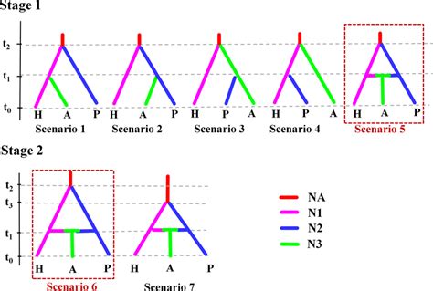 Probable Demographic Scenarios Tested With Approximate Bayesian
