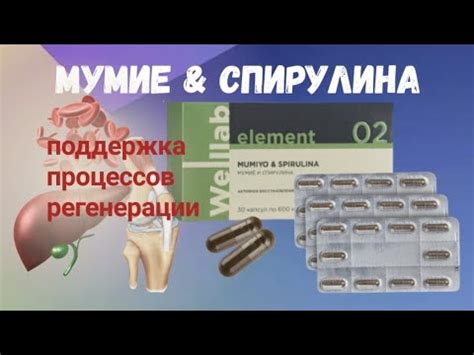 Мумие и спирулина greenway|Здоровье без таблеток - YouTube