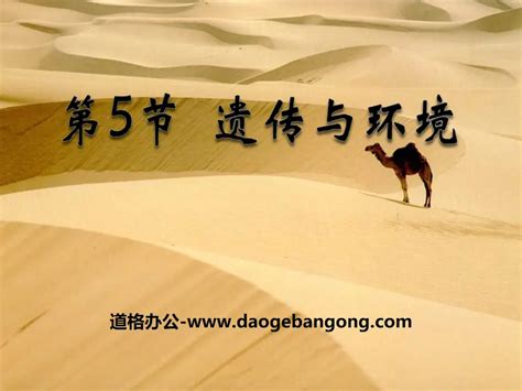 《遗传与环境》ppt课件 北师大版八年级生物上册 免费ppt模版下载 道格办公共享平台