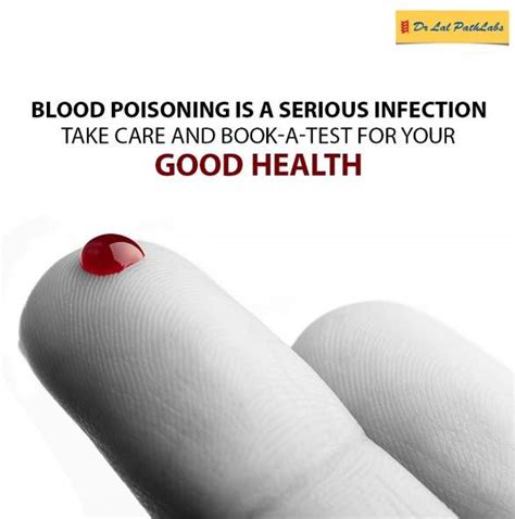 Top Dr Lal Pathlabs Diagnostic Centres In Balkur Best Dr Lal Pathlabs