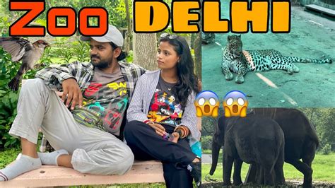 Delhi Zoo चिड़ियाघर National Zoological Park ⁠pajudeepvlogs5