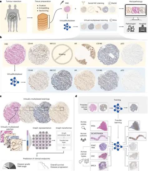 Ainave Navigate The World Of Ai With Ease