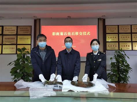 杭州海关移交古生物化石2件萧山自然资源保护