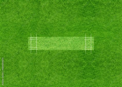 A Cricket Pitch Direct Top View Of The Layout With The Grass Cricket