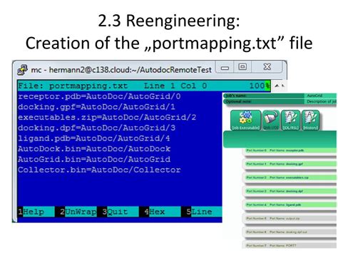 Remote Api Tutorial How To Call WS PGRADE Workflows From Remote Clients Through The