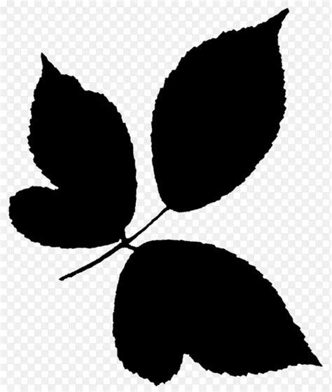 Png Png