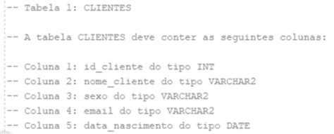 primeiros passos no oracle sql developer bancos de dados