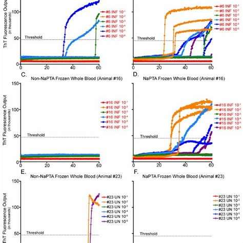 Rt Quic Analysis Of Whole Blood Collected In Various Download
