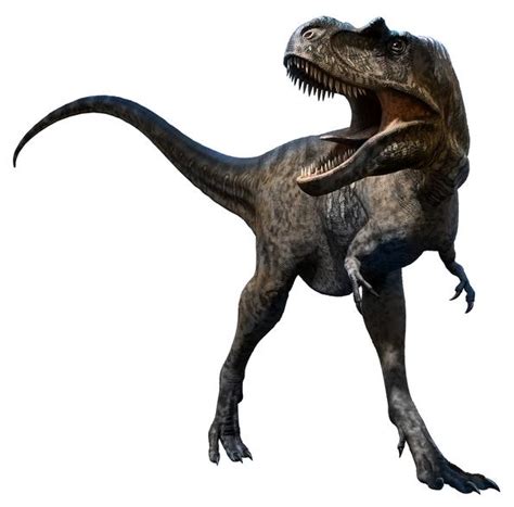 Tipos De Dinosaurios Carnívoros Nombres Y Características