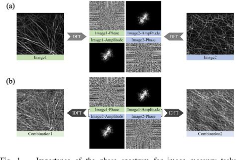 Figure 1 From High Fidelity Reconstruction Of Structured Illumination Microscopy By An Amplitude