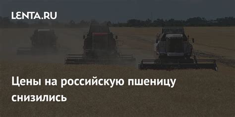 Цены на российскую пшеницу снизились: Рынки: Экономика: Lenta.ru