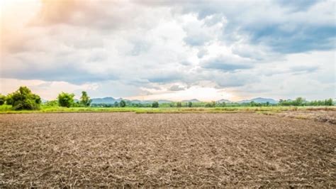 Deretan Konflik Agraria Terbaru Dari Rempang Pohuwato Hingga Seruyan