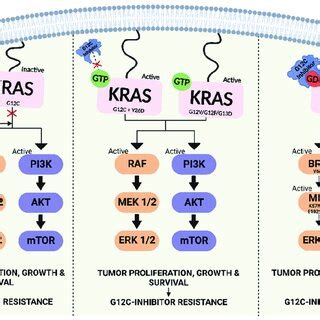 Acquired Resistance Mechanisms To KRAS G12C Inhibitors Image Generated