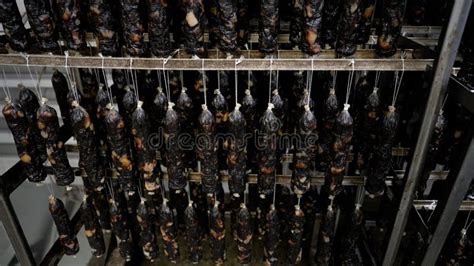 Homemade Meat Product Black Sausage At A Food Factory Black Sausages